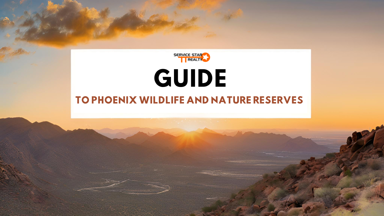 Exploring Phoenix: A Guide to Wildlife and Nature Reserves